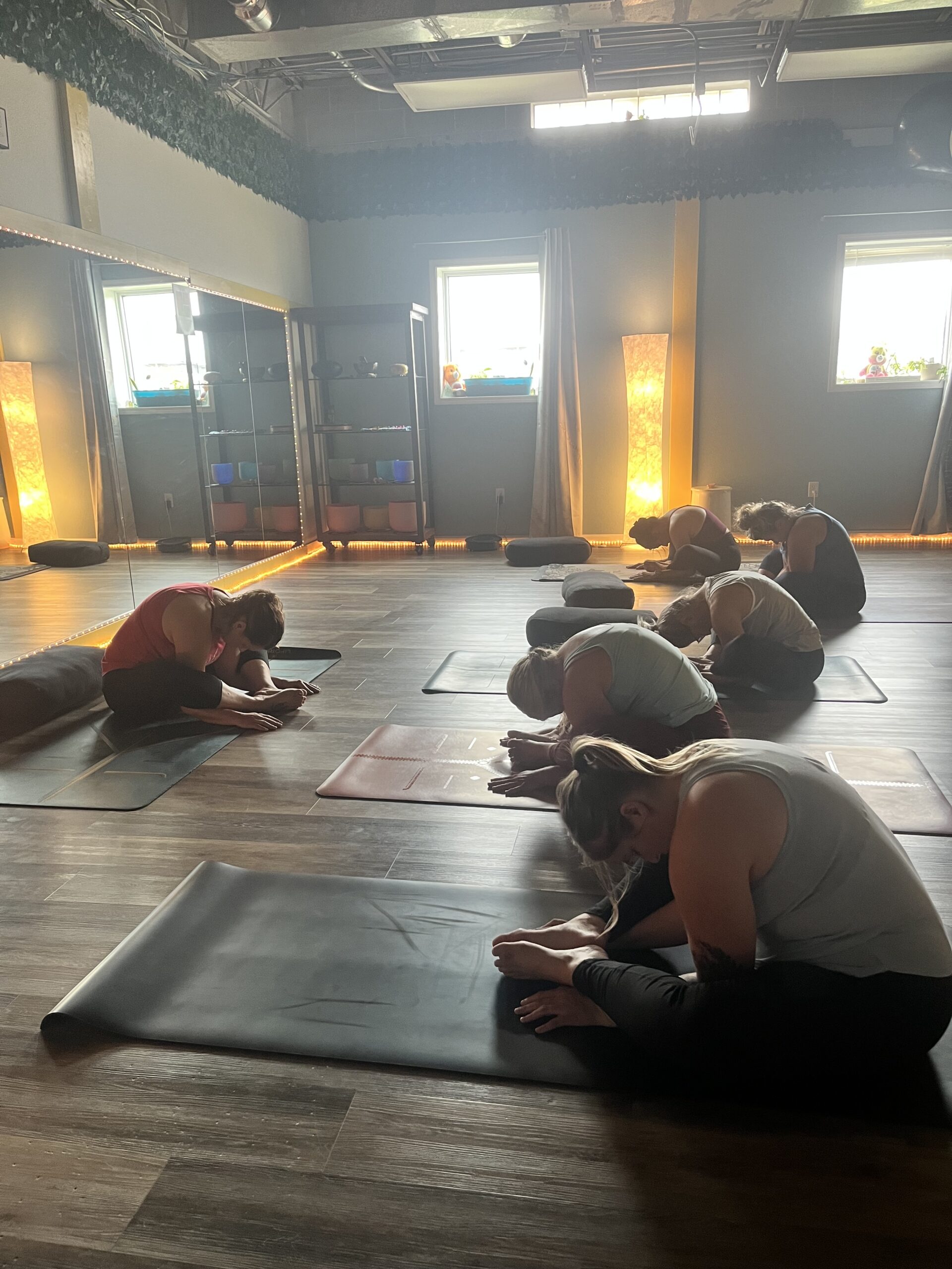 Yoga Meditation and Fitness Mandan, ND | The Studio
